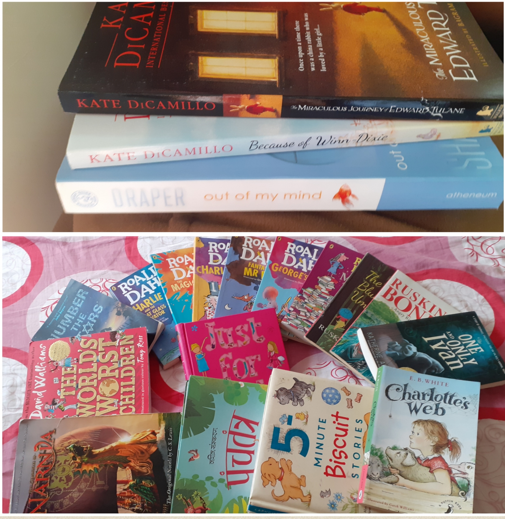 Prisha s Book World Recommended Reads For 8 12 Year Olds Kids Book Caf 