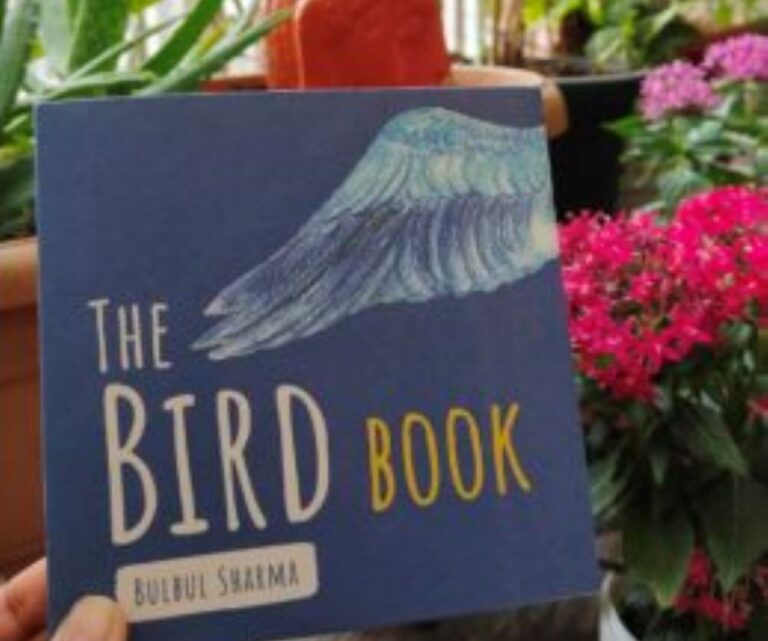 Review: The Bird Book – Kids Book Café