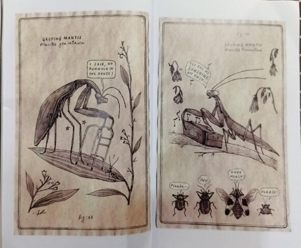 Go Wild! A Book That Gently Nudges Us Back to Nature [Review] – Kids ...